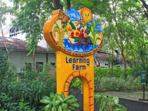 Learning Farm