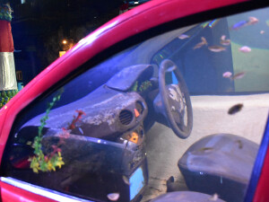 Car Aquarium