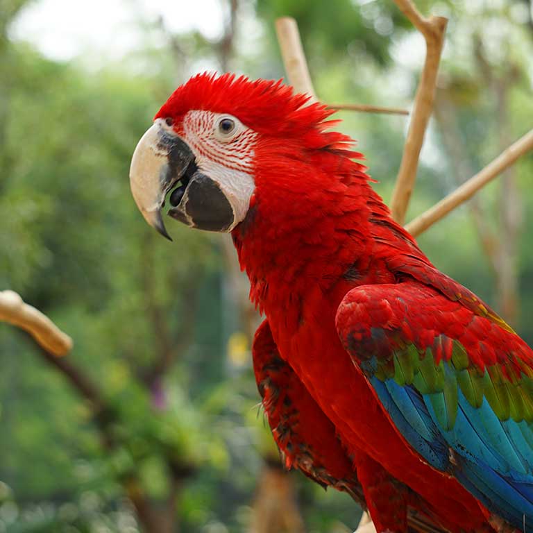 Ancol.com - Taman Rekreasi Terbesar di Indonesia